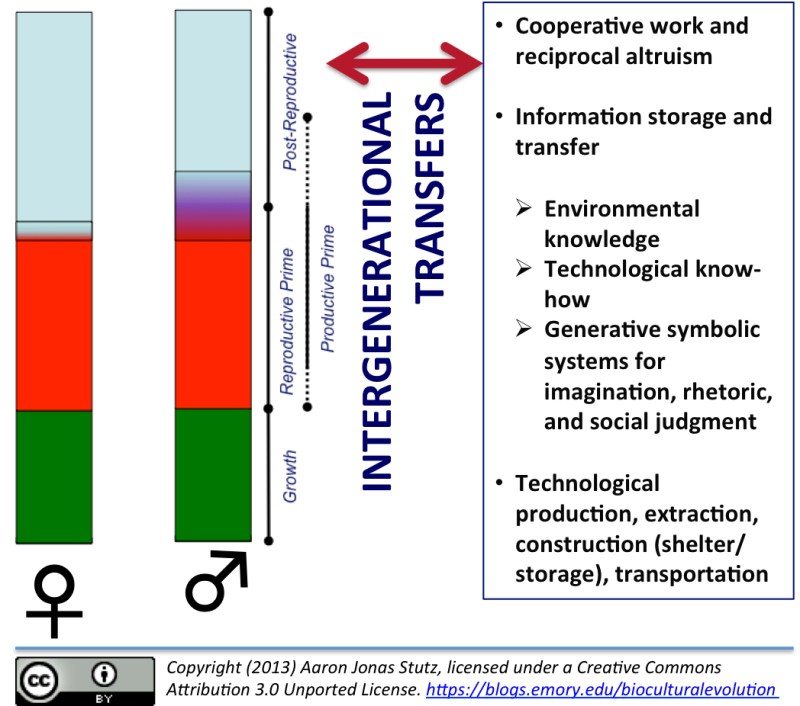 Culture-An Overview | The Biocultural Evolution Blog